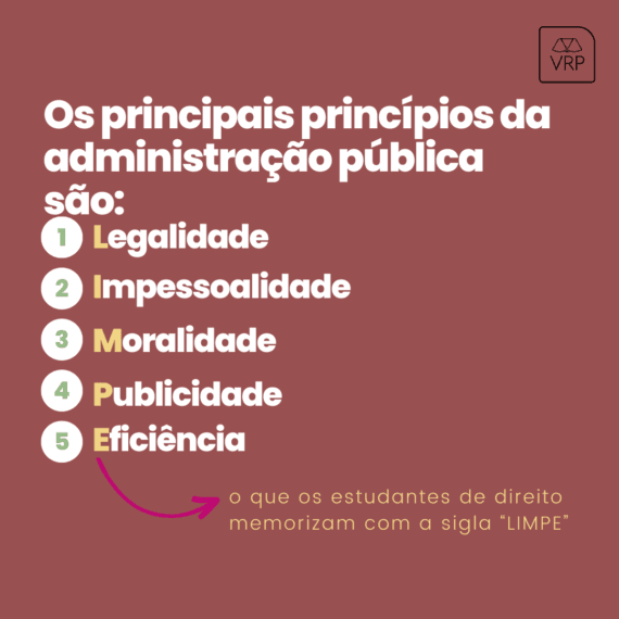 Quais são os princípios da administração pública e os direitos dos ...